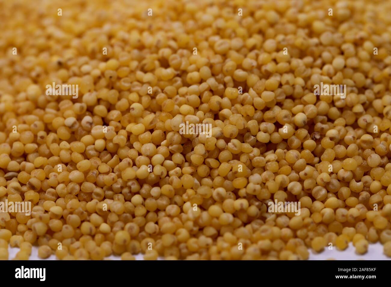Millet food grains Stock Photo - Alamy