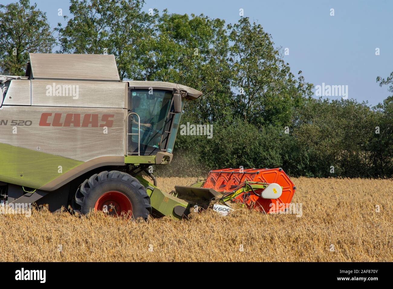 Combine harvester combining oats Stock Photo - Alamy
