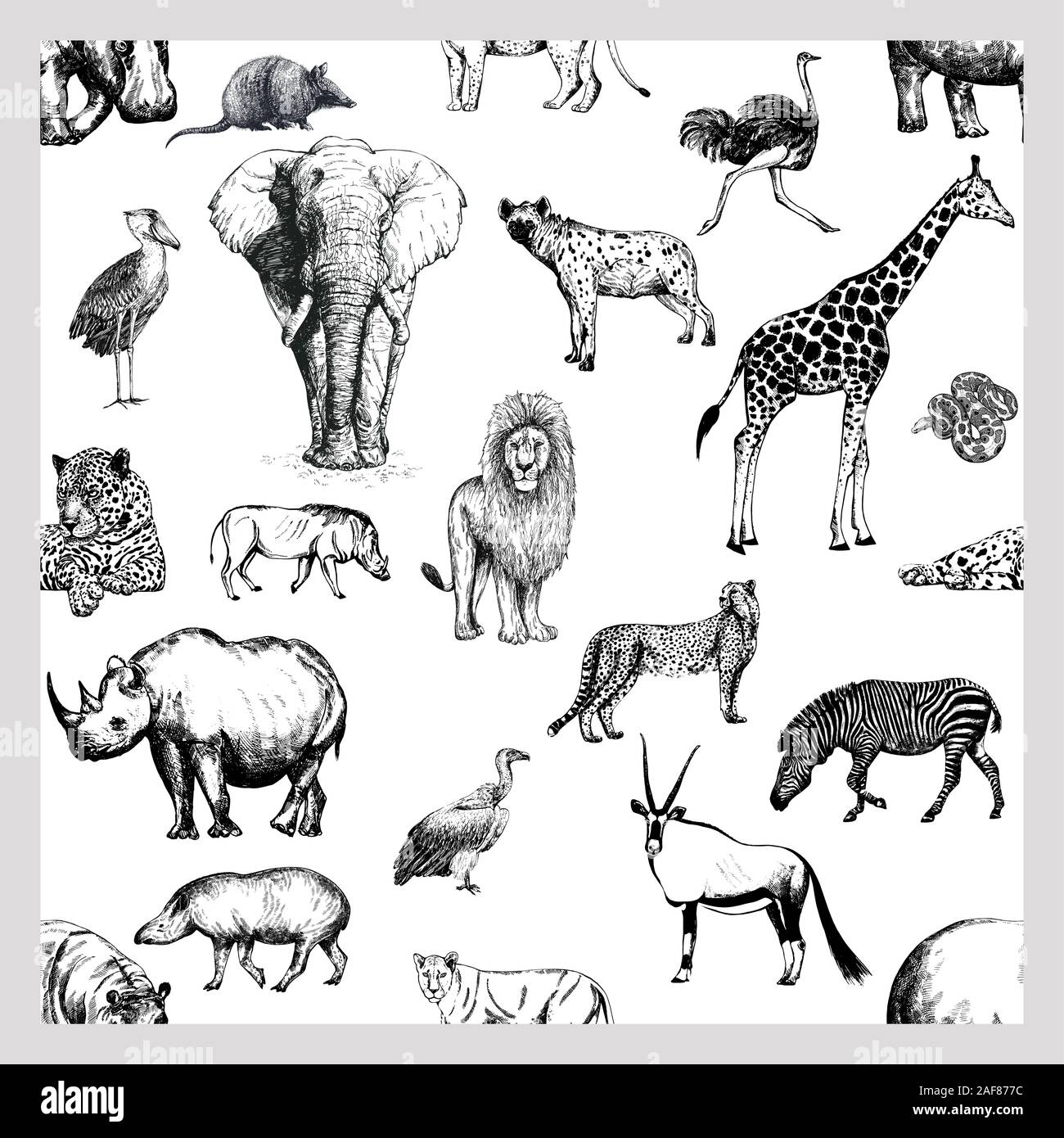 Seamless pattern of hand drawn sketch style African animals isolated on ...
