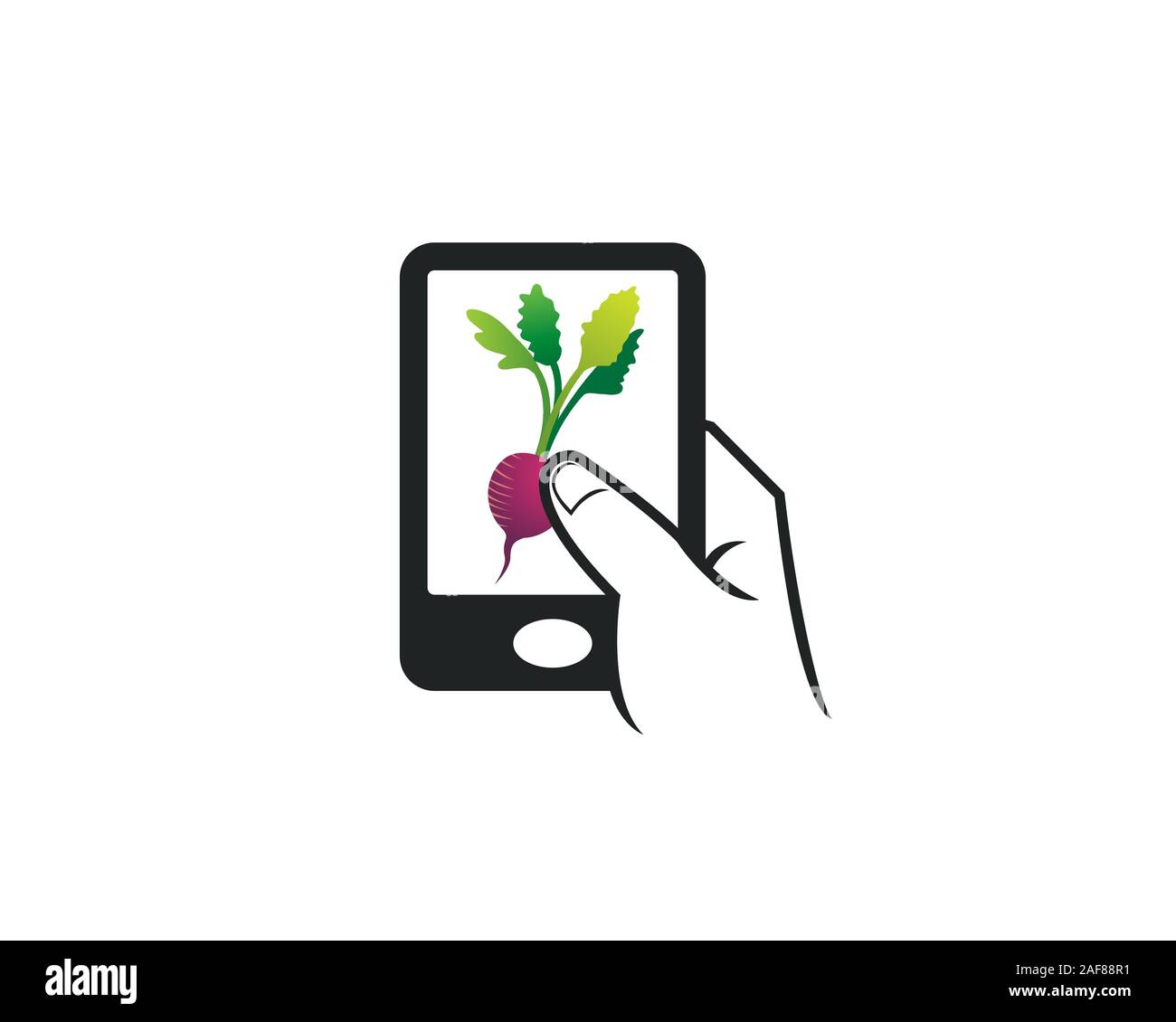 Beet root on market Stock Vector Images - Alamy