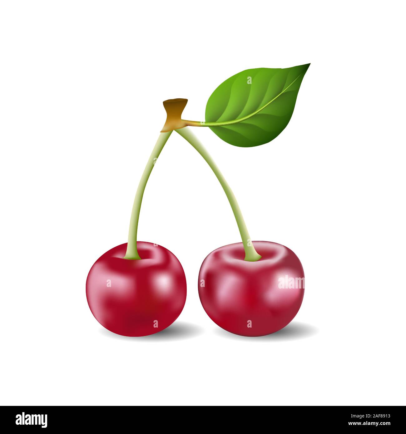 Cherry with a leaf isolated on white background. Vector illustration ...