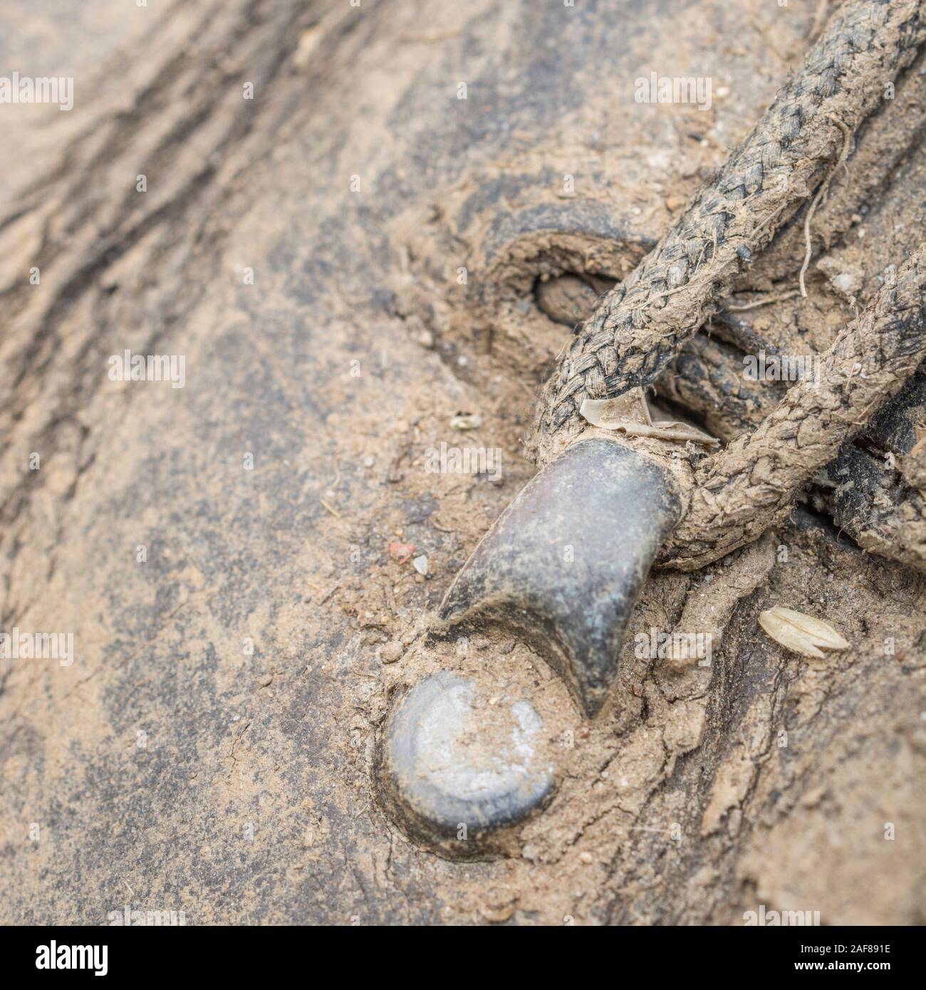 Bootlaces hi-res stock photography and images - Alamy