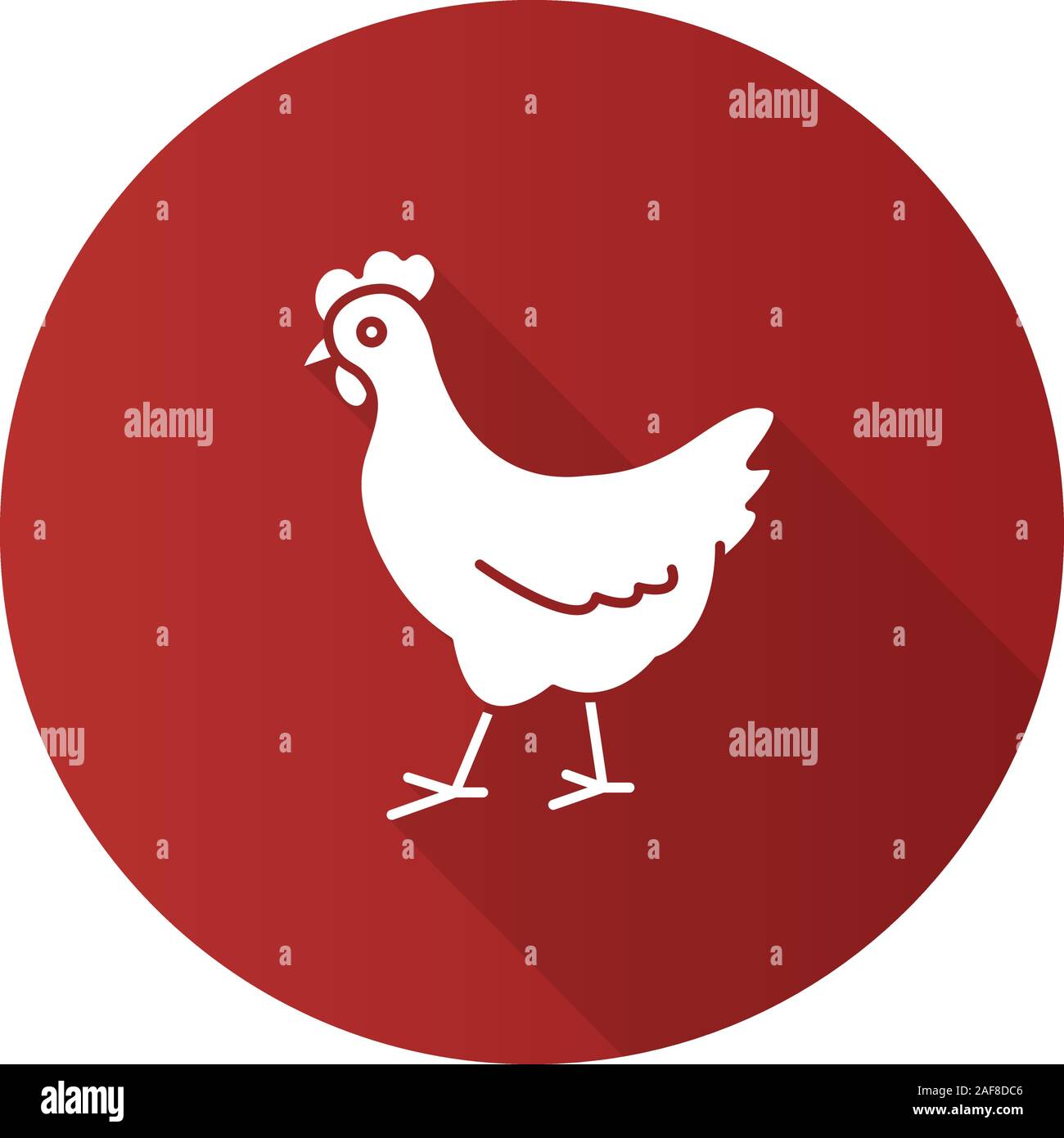 Chicken flat design long shadow glyph icon. Poultry farm. Vector ...