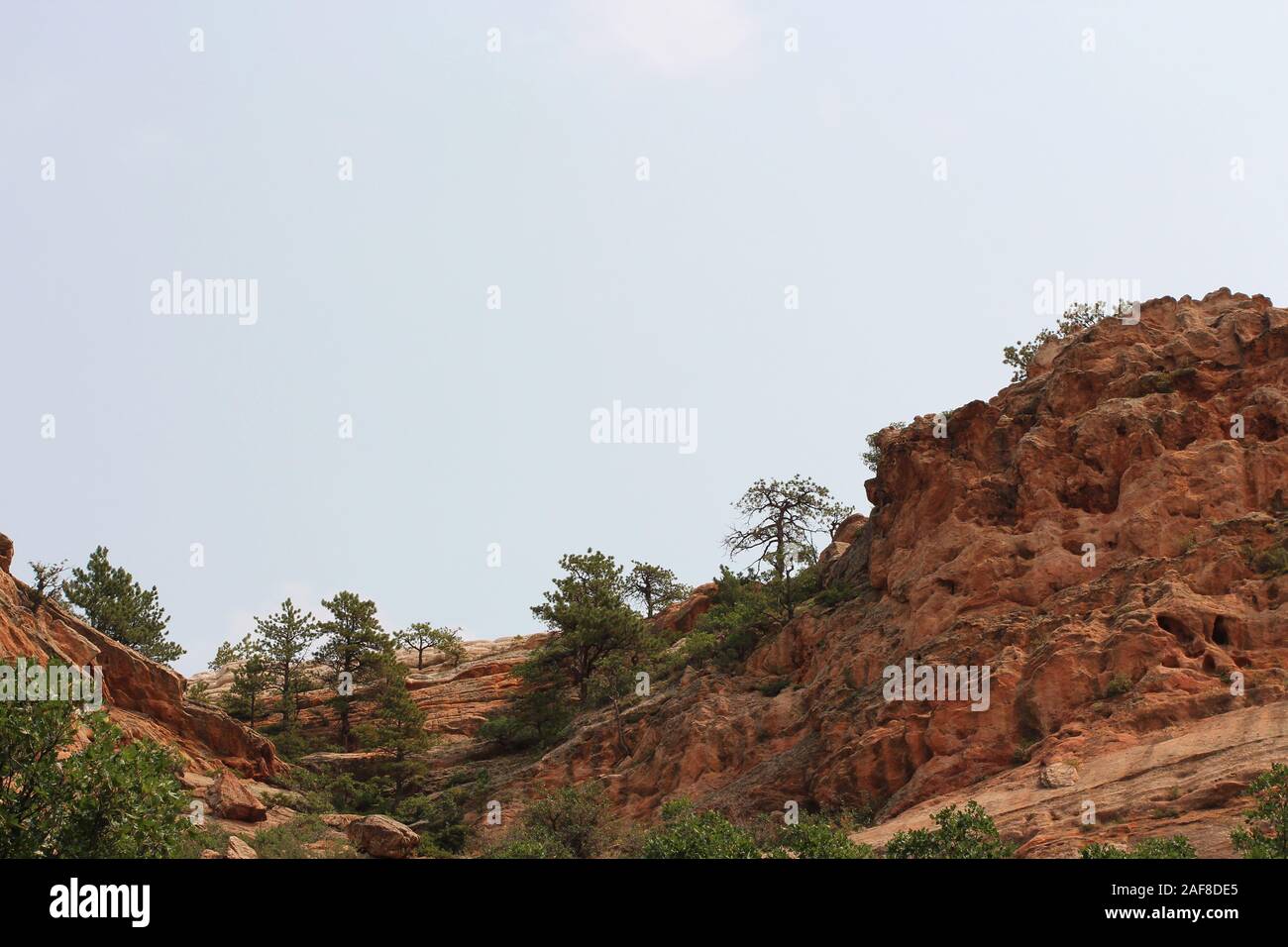 Dramatic red sandstone formations with trees growing out of them in the ...