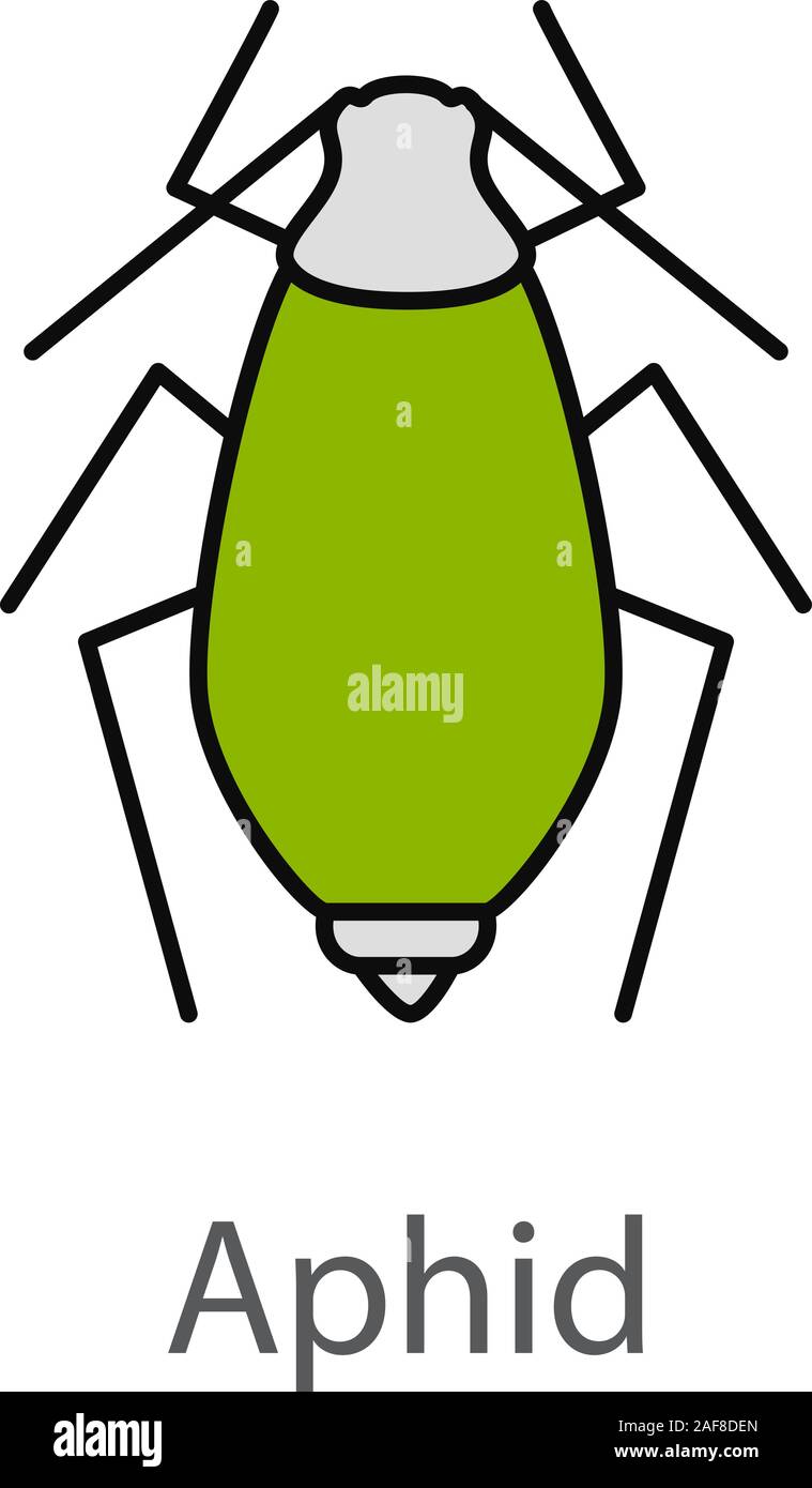 Aphid color icon. Insect pest. Plant lice. Isolated vector illustration ...