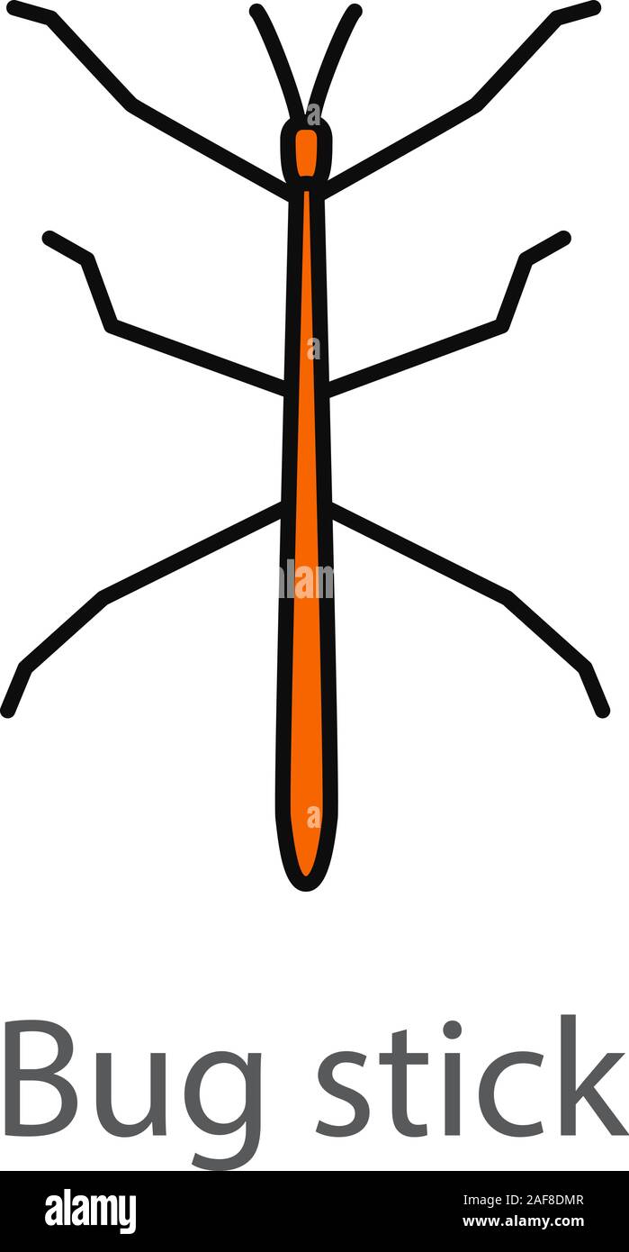 Phasmid Stock Vector Images - Alamy