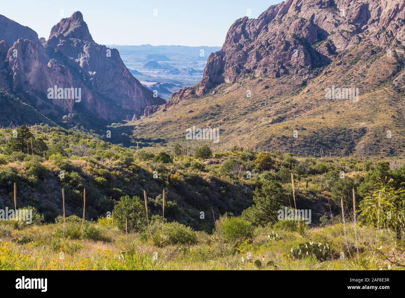 Big bend chisos basin hi-res stock photography and images - Alamy