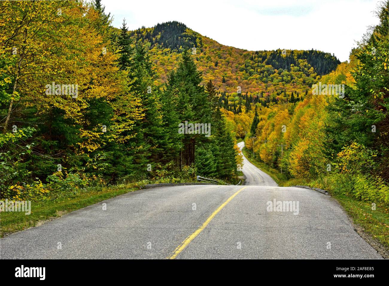 Sandro de america hi-res stock photography and images - Alamy