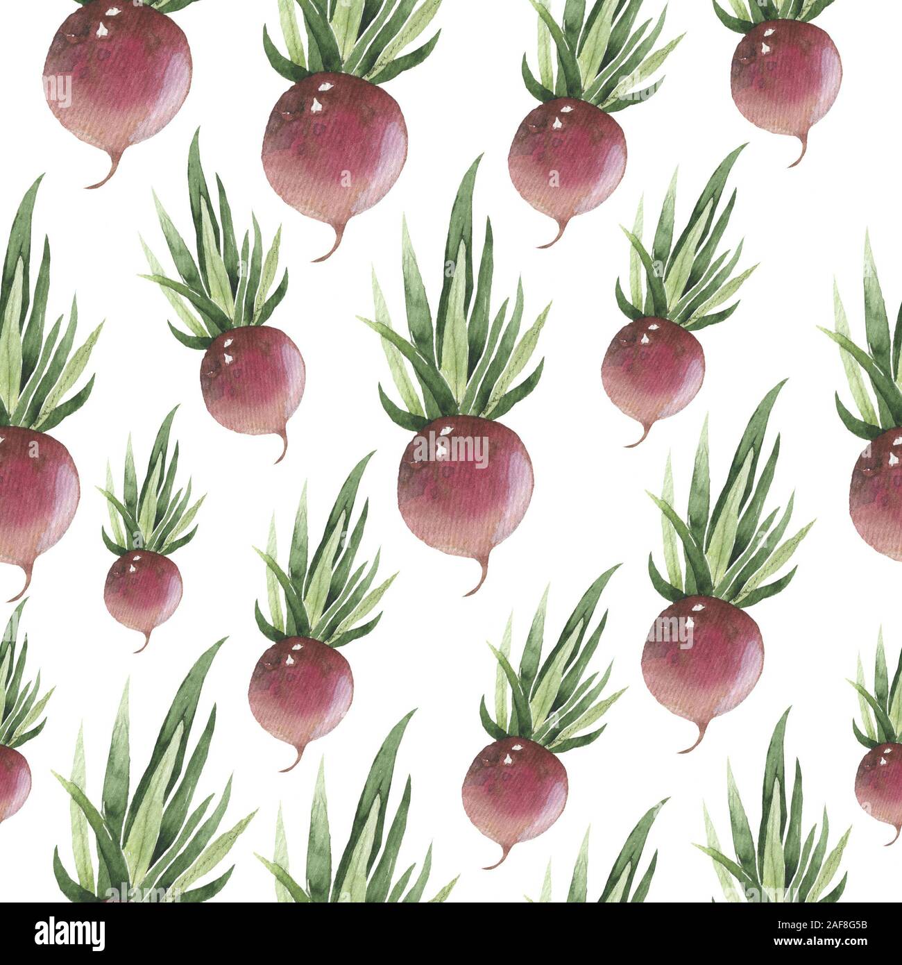 Hand-drawn root vegetables. Seamless nature background. Fresh organic ...