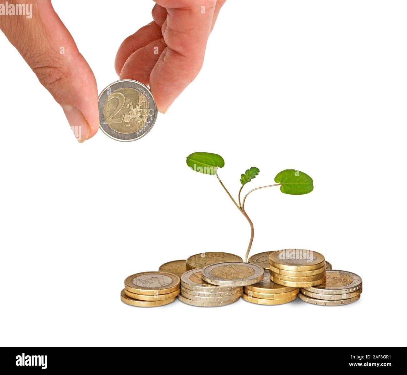 Tree growing from pile of coins Stock Photo - Alamy