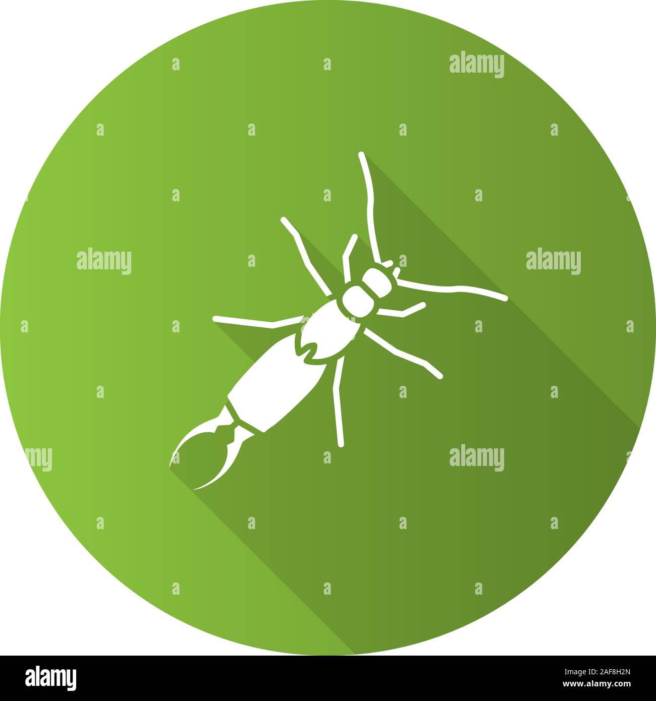 Earwig dermaptera Stock Vector Images - Alamy