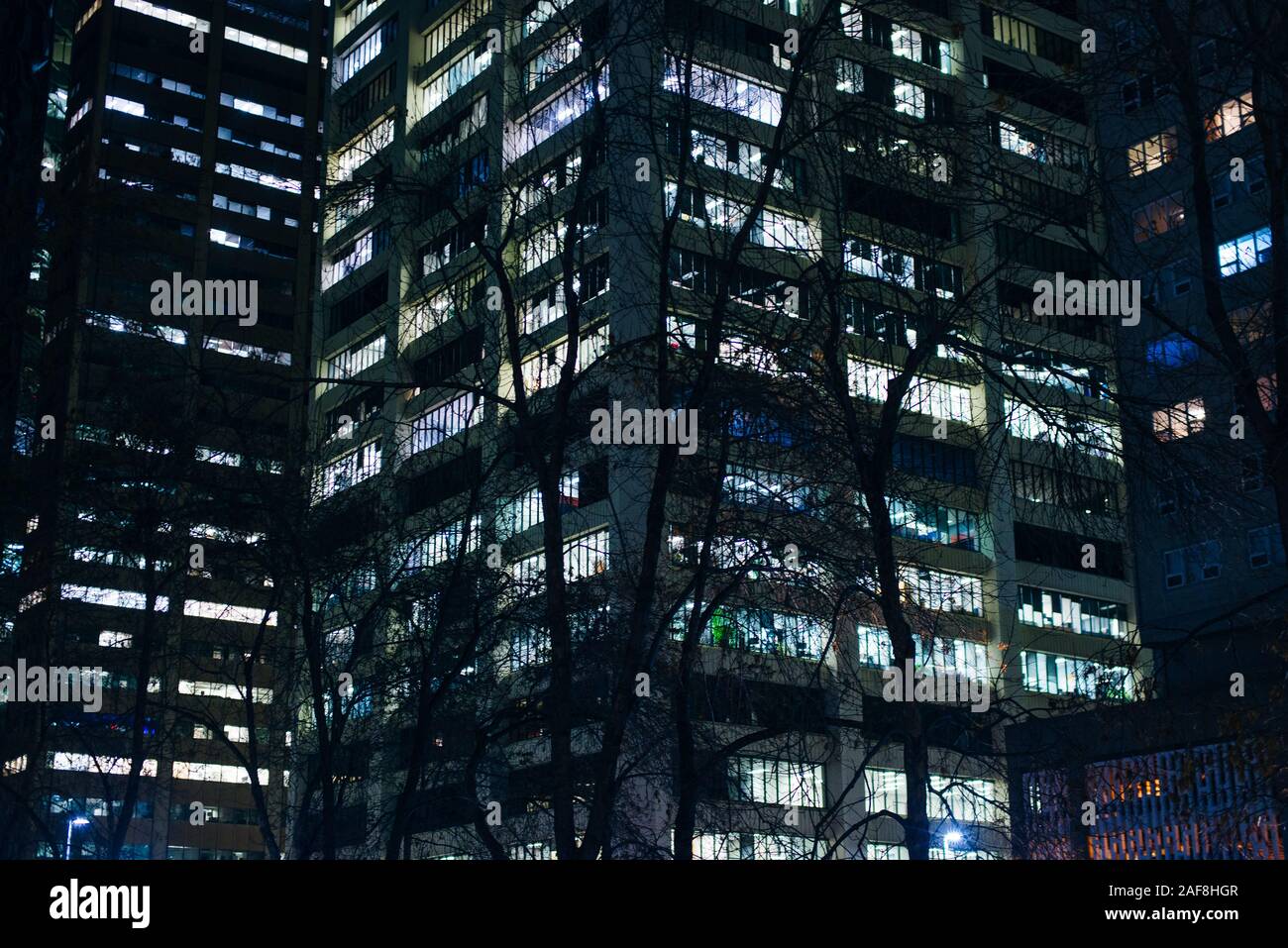 Skyscraper Windows Night