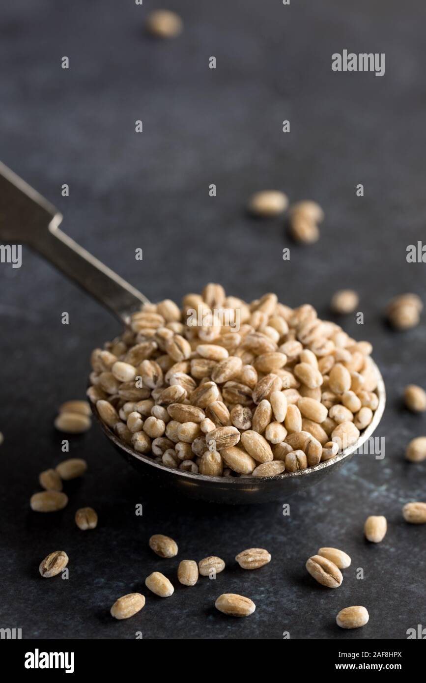 Whole Grain Milling Barley Stock Photo - Alamy