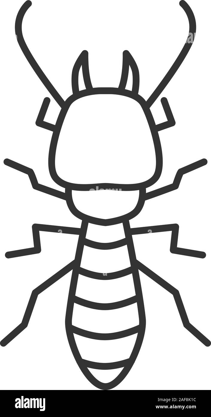 Termite linear icon. White ant. Thin line illustration. Insect pest. Contour symbol. Vector ...