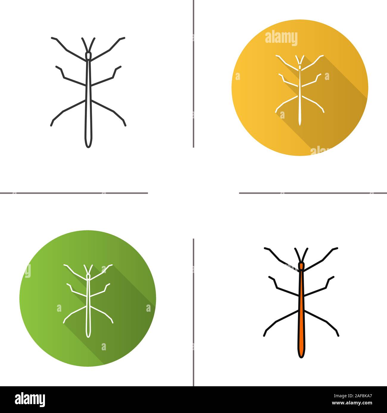 Walking Stick Life Cycle