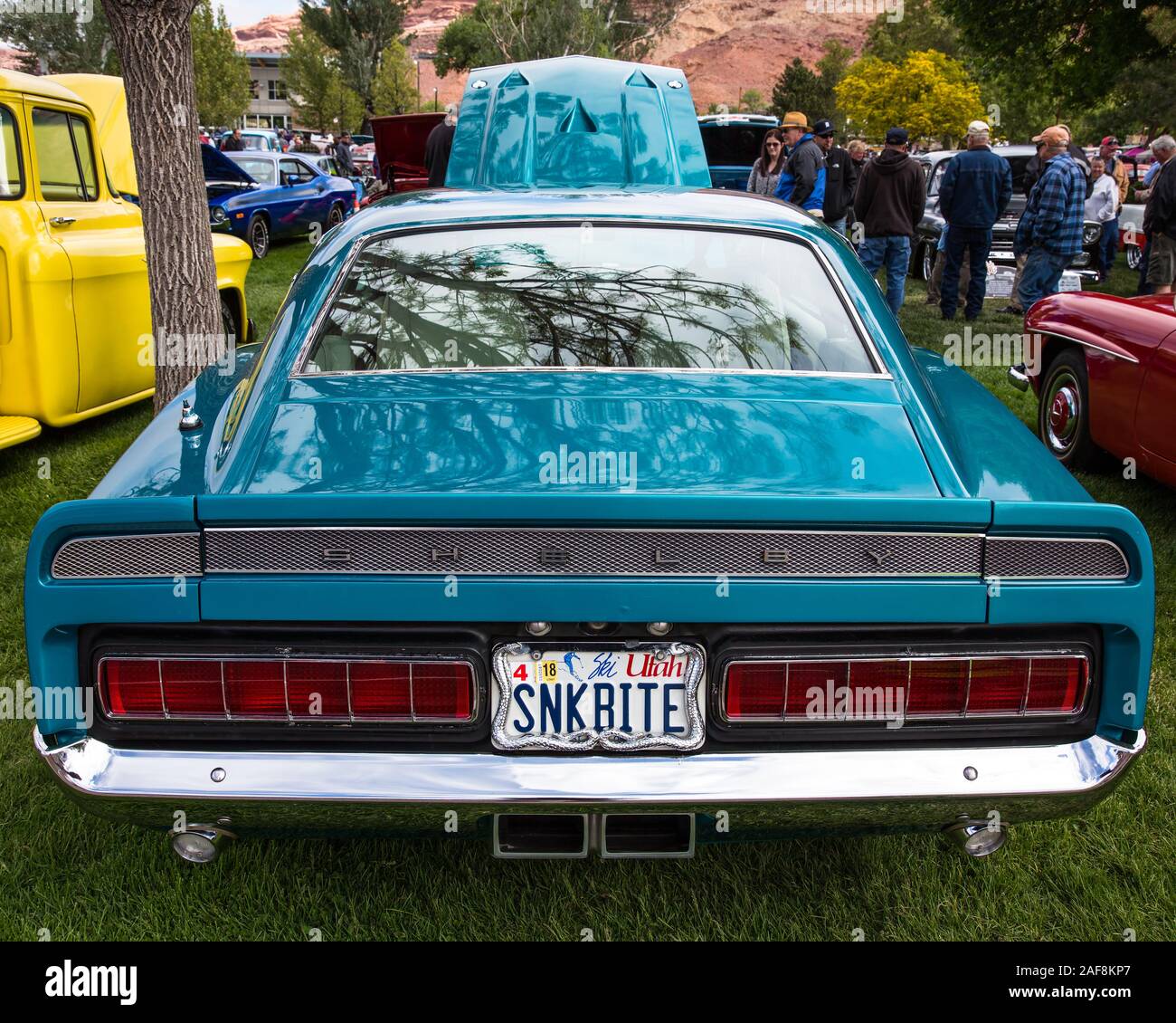Shelby Mustang Rear View
