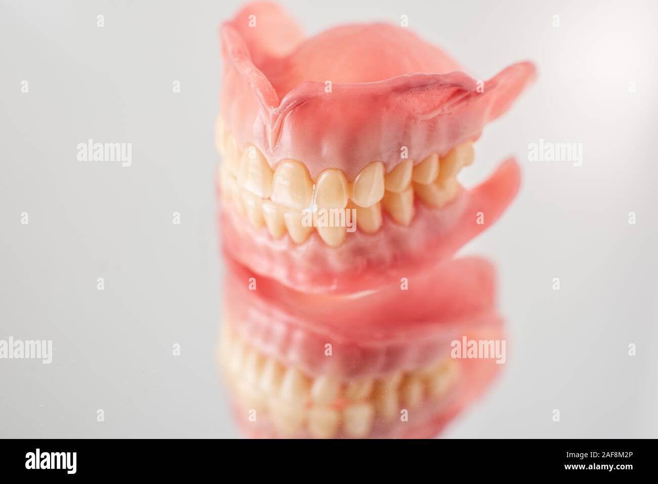 Close-up studio shot of artificial jaw model on a mirror background ...