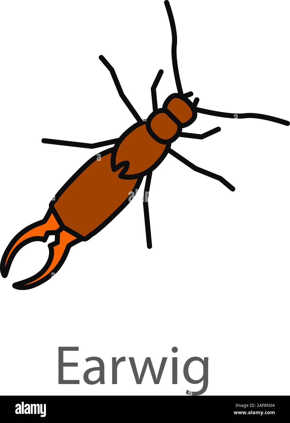 Earwig color icon. Insect. Isolated vector illustration Stock Vector ...