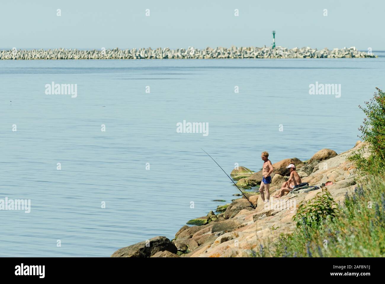 Baltic sprat hi-res stock photography and images - Alamy
