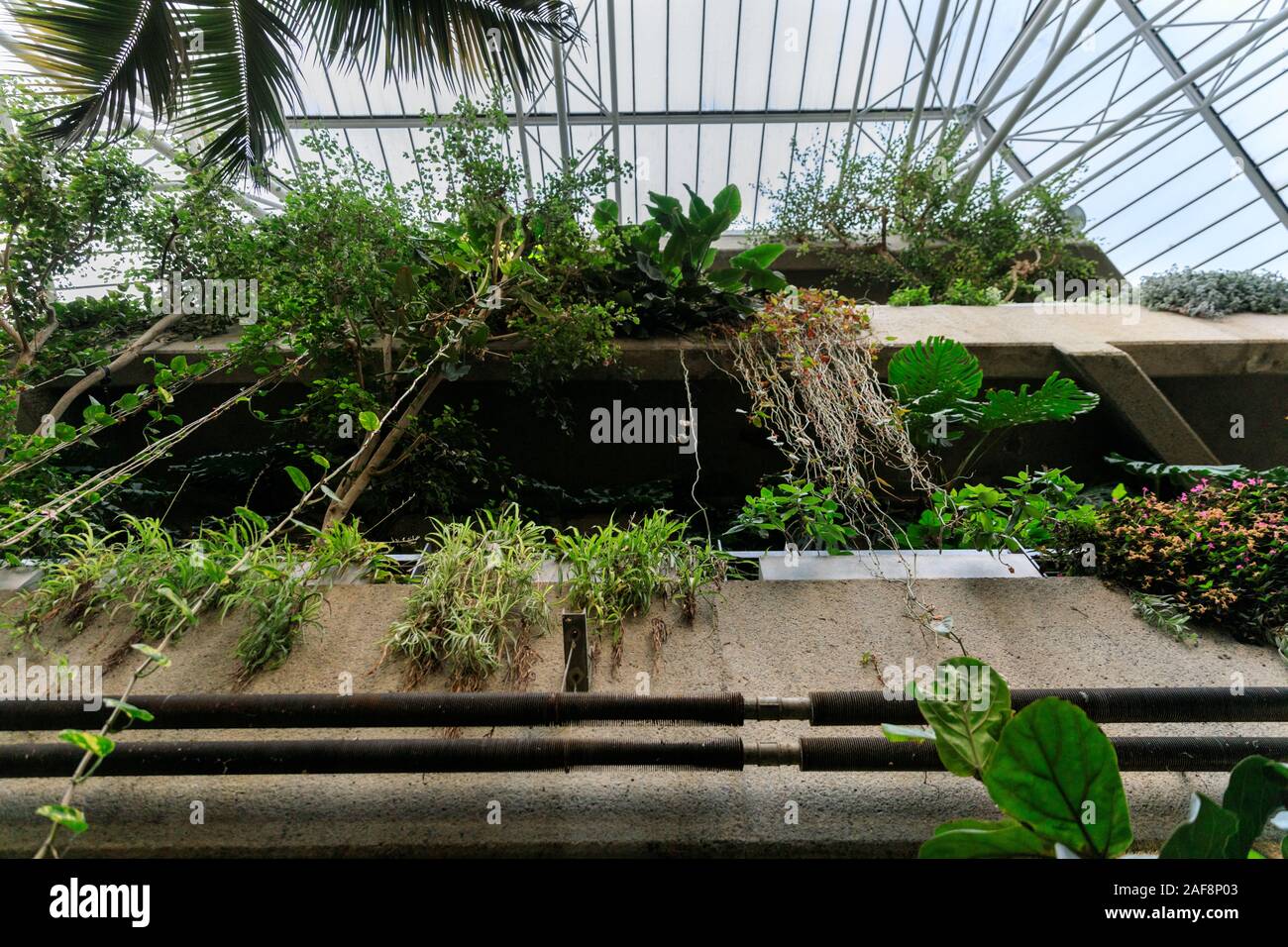 Conservatory interior hi-res stock photography and images - Alamy