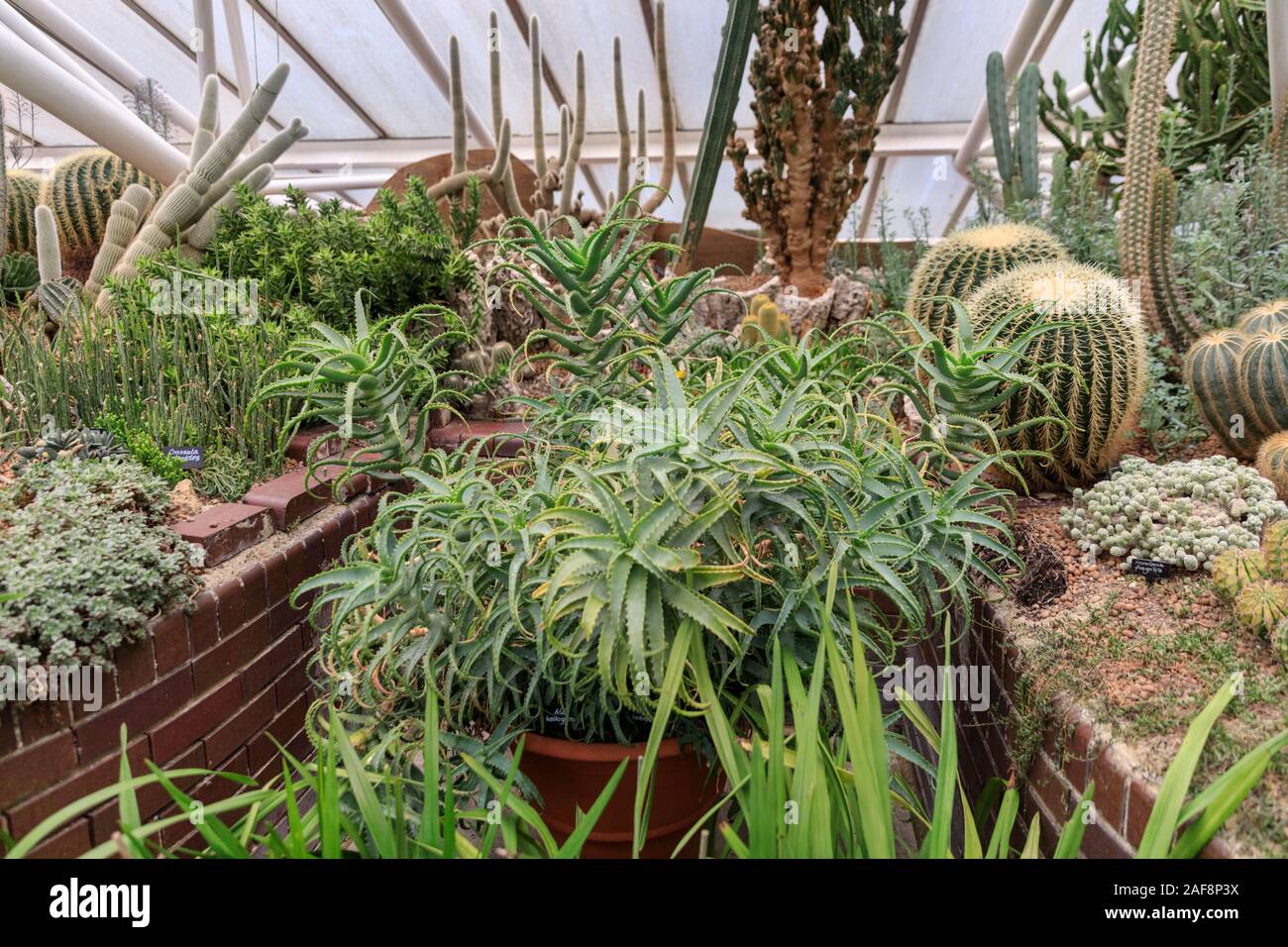 Conservatory interior hi-res stock photography and images - Alamy
