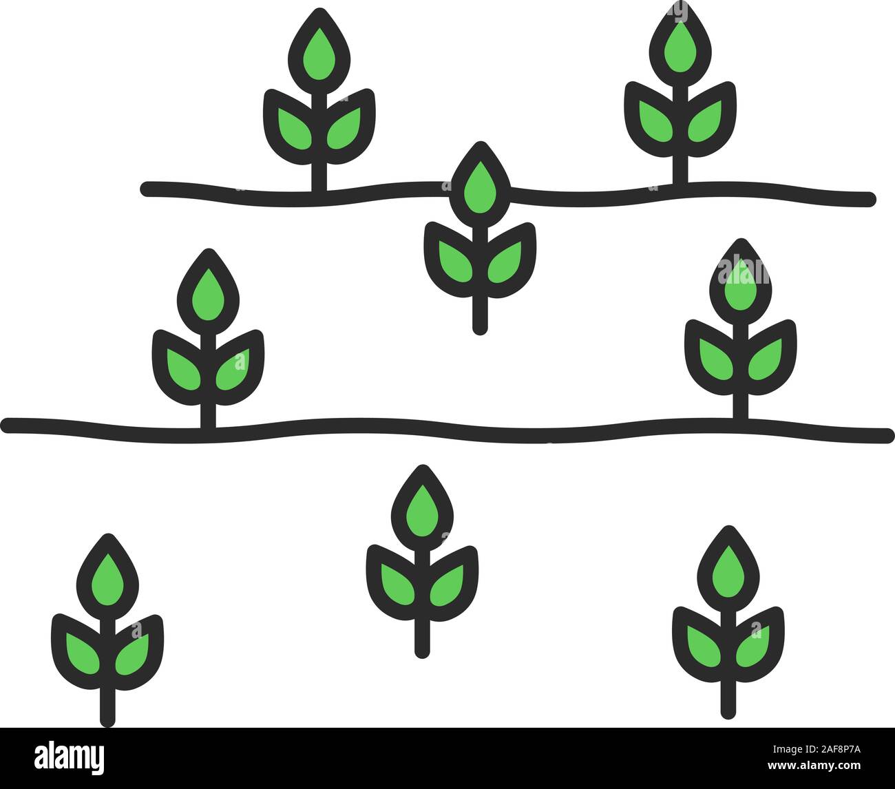 Field color icon. Seedling. Wheat, corn. Isolated vector illustration ...