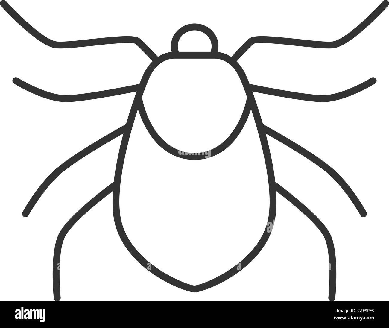 Mite linear icon. Acari. Thin line illustration. Insect pest. Contour ...
