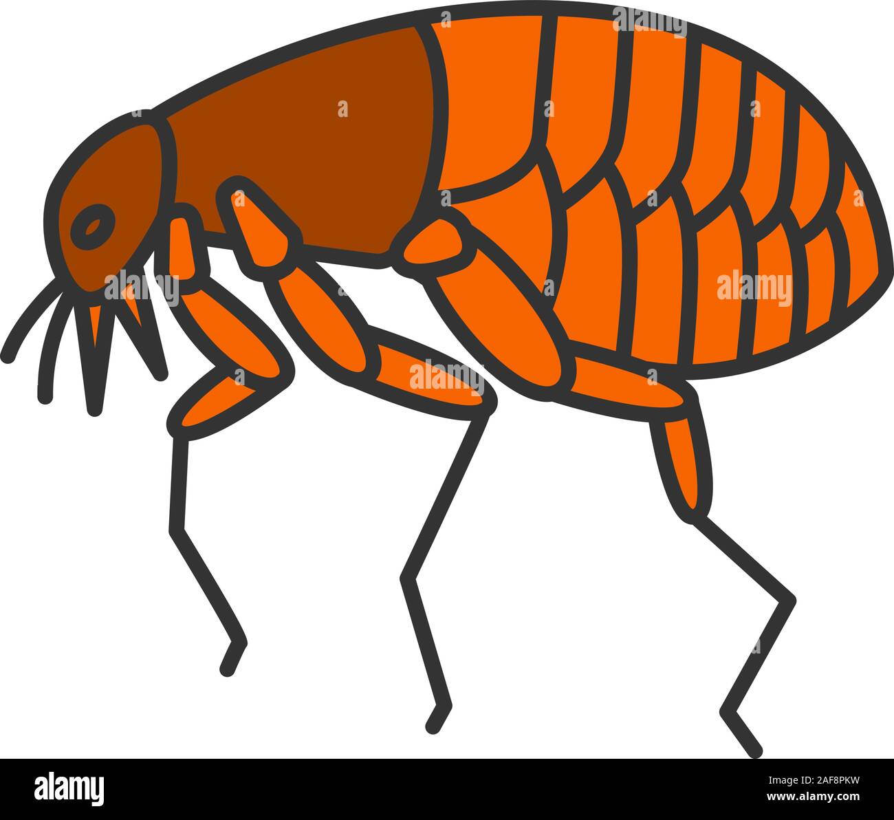 Ten Legged Fleas Drawing