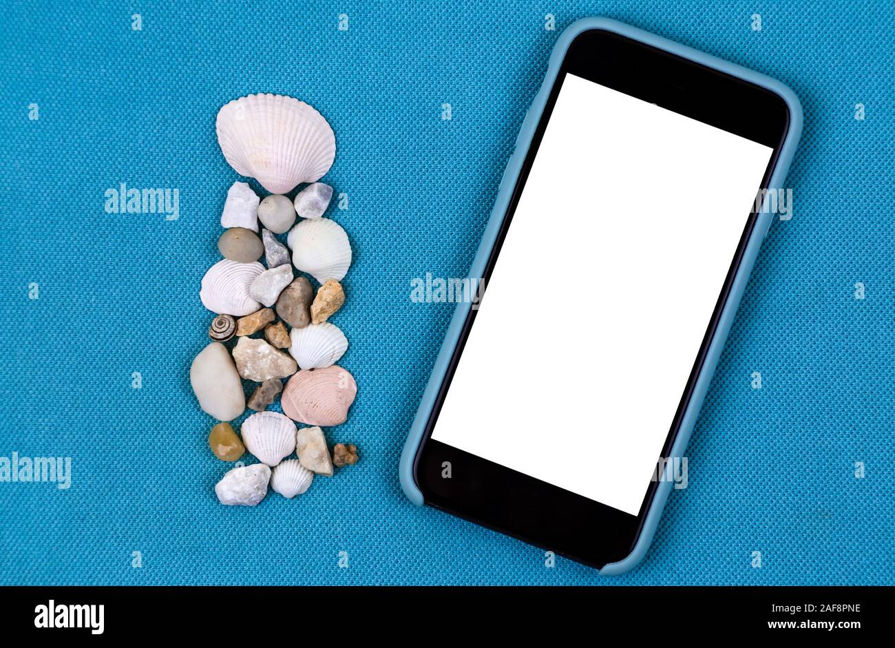 Sea side display of shells hi-res stock photography and images - Alamy