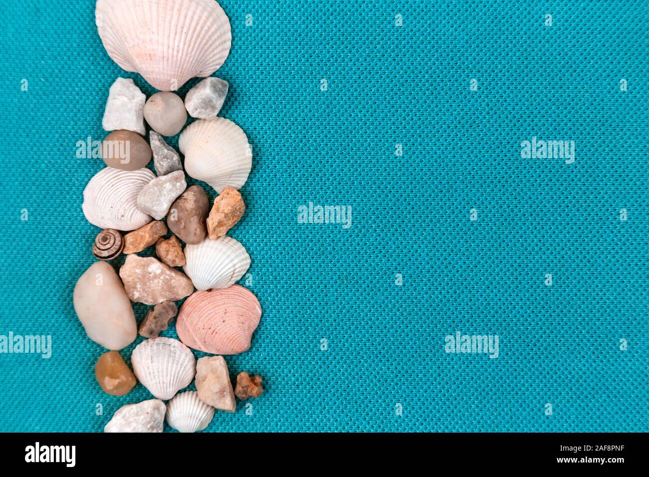 Sea shells laid out on a trendy aqua blue background with an empty ...