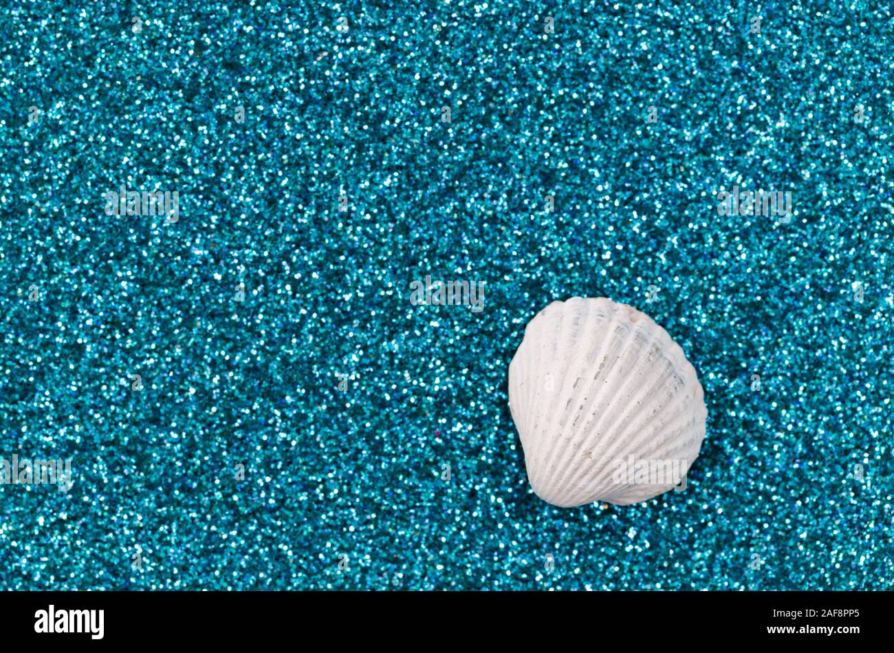 White seashells laid out on a trendy aqua blue glitter background. Top ...