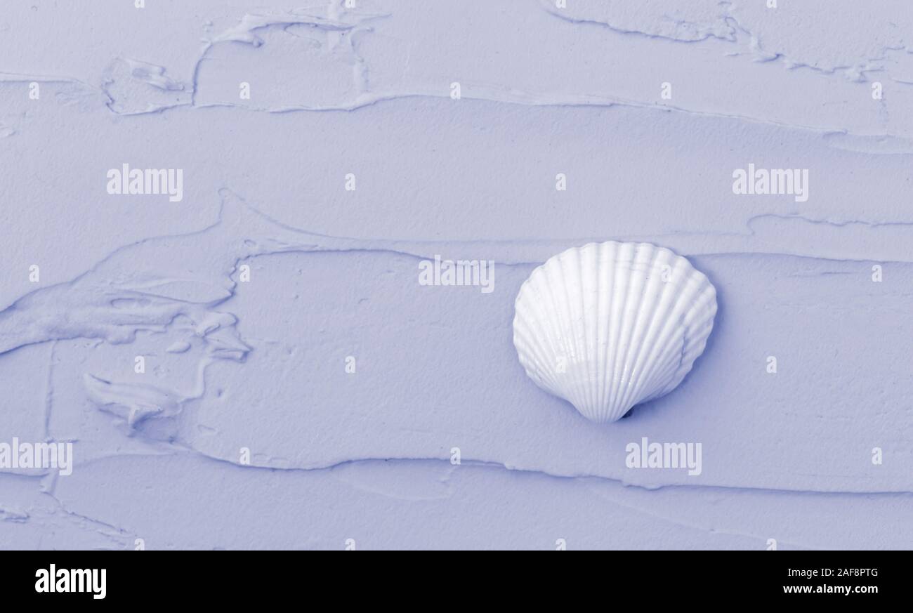 Purple scallop hi-res stock photography and images - Alamy