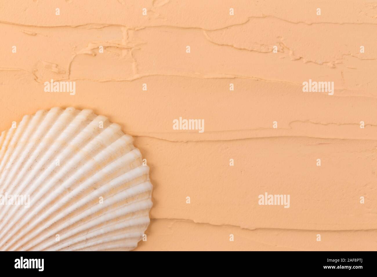 Cone top shell hi-res stock photography and images - Alamy