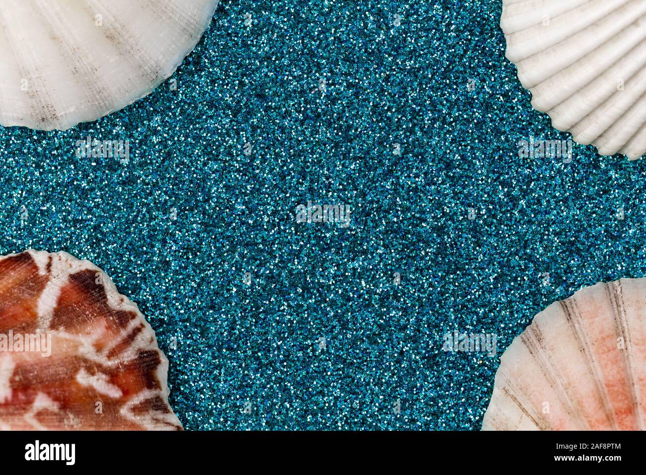 Seashells On A aqua blue Glitter Background. Sea shell frame Stock ...