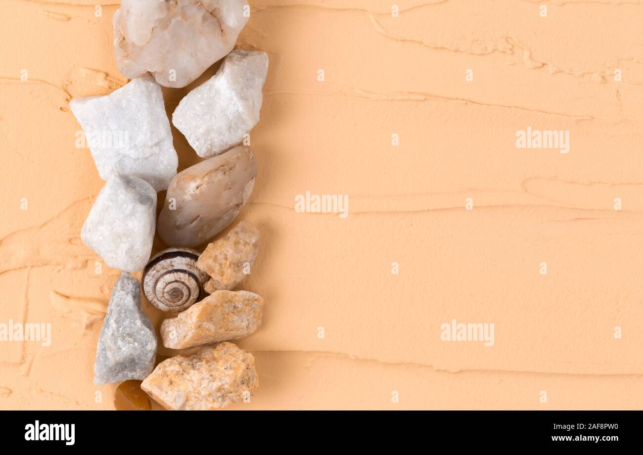 Sea shells laid out on a beige background with an empty place for text ...