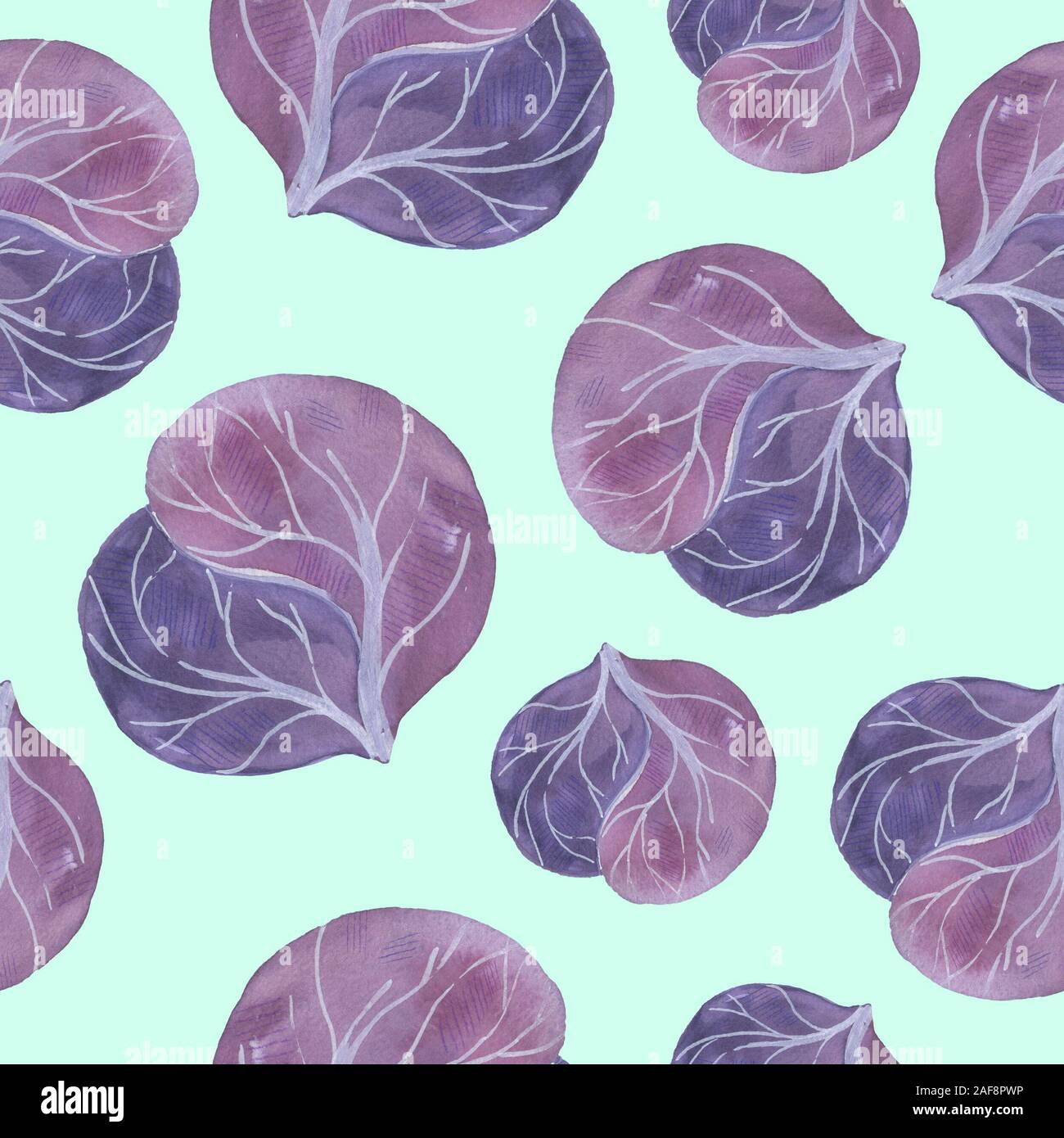 Colored red cabbage in sketch style. Watercolor illustration for your ...