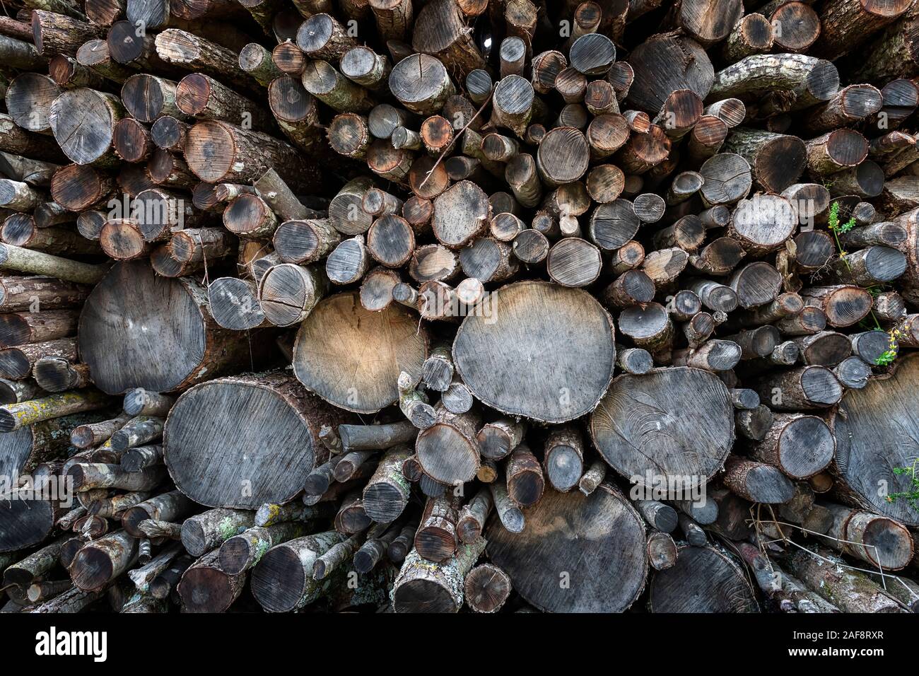 Various Diameters High Resolution Stock Photography and Images - Alamy