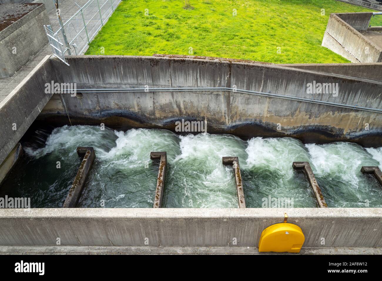 Water flows through a Fish Ladder at the Bonneville Dam, Washington ...