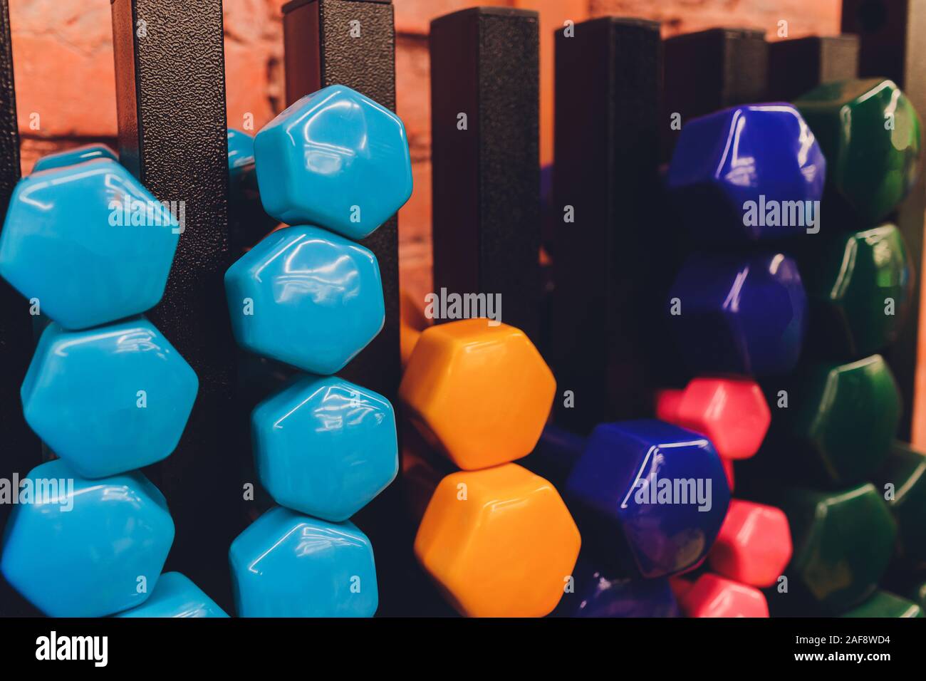 Receding row of weights lined up in a gym waiting for clients with ...