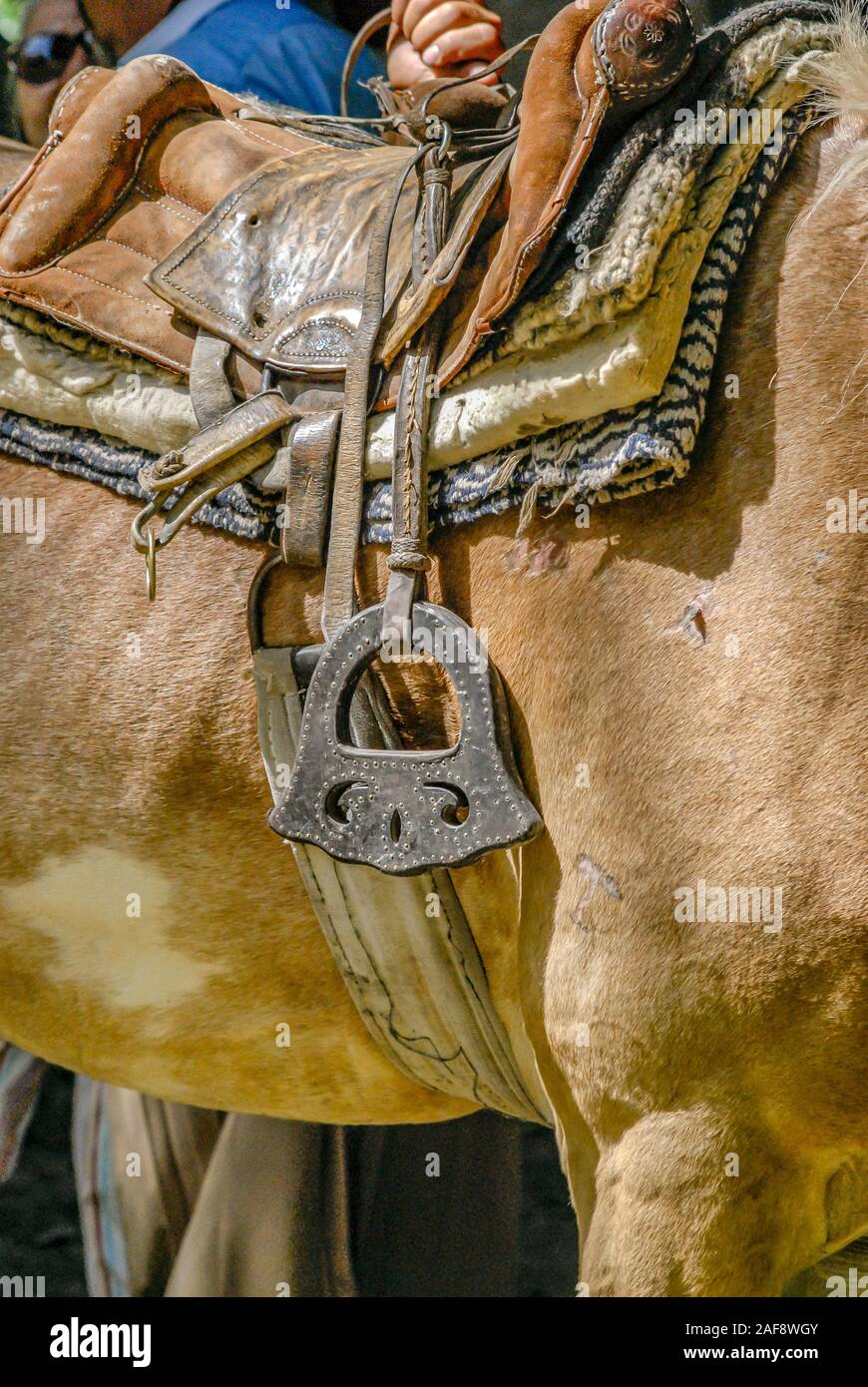 Argentine Gaucho Saddle High Resolution Stock Photography and Images ...