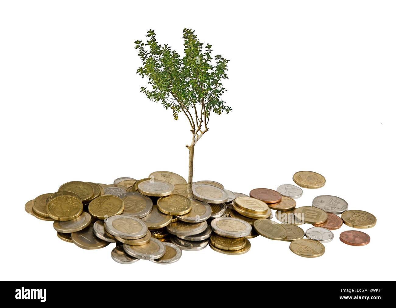 tree growing from coins Stock Photo - Alamy