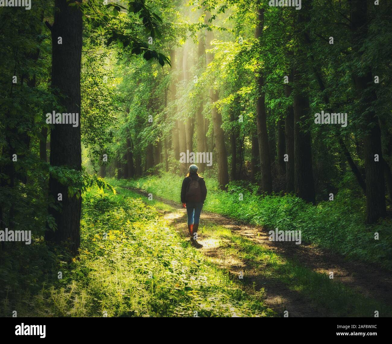 Man in dense forest hi-res stock photography and images - Alamy