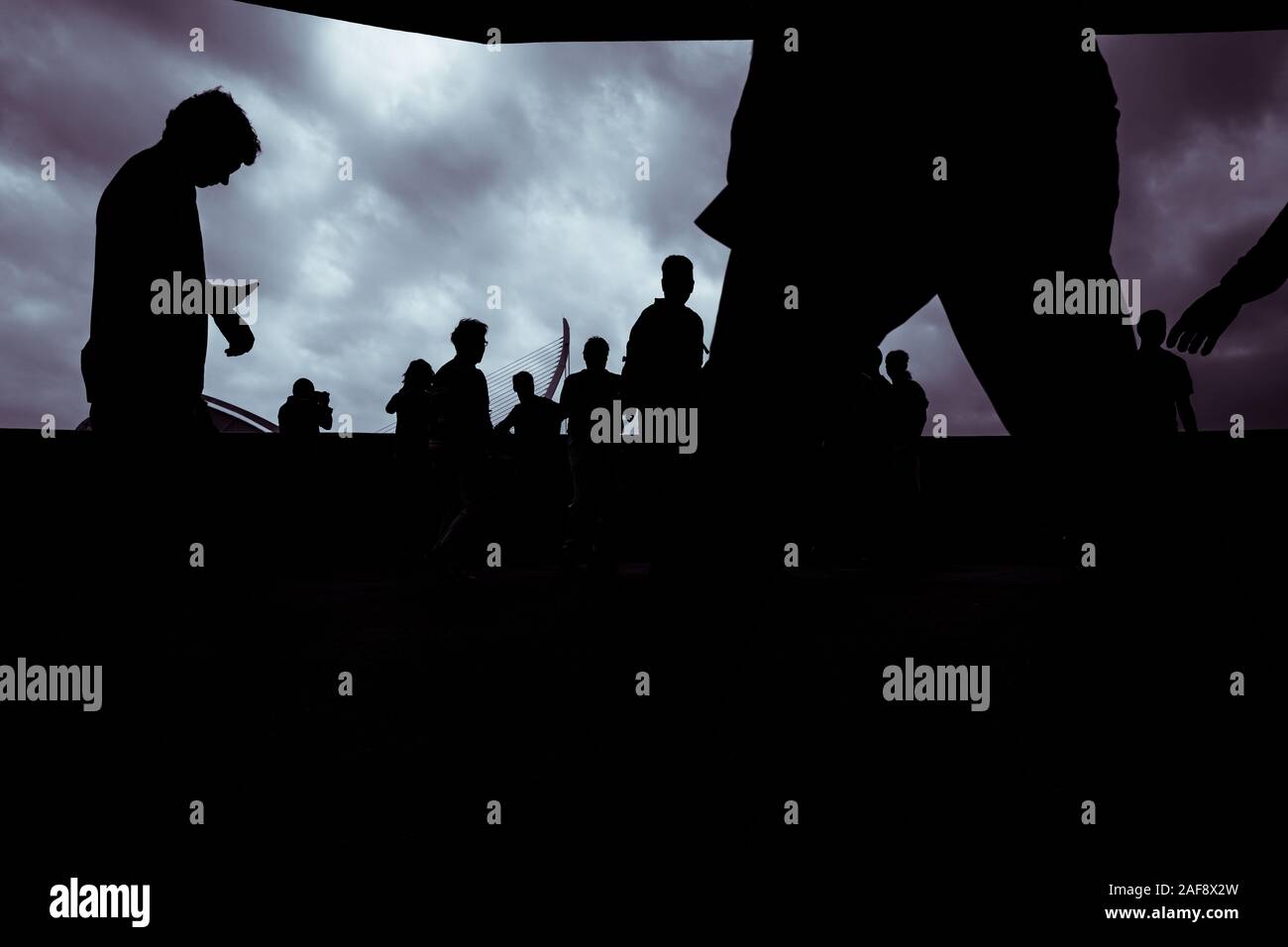 Silhouette of a group of unrecognizable people using their smartphones ...