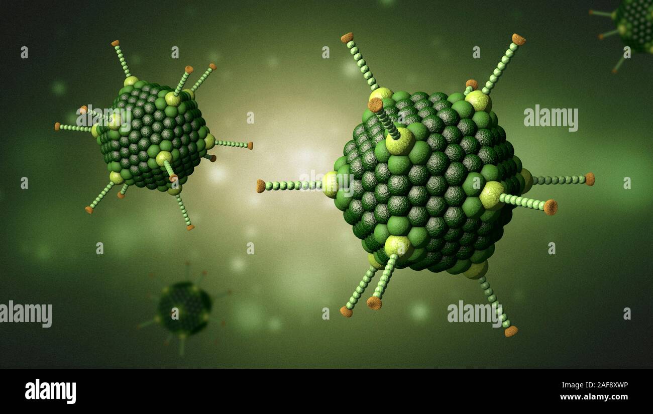 Adenovirus particles, illustration Stock Photo - Alamy