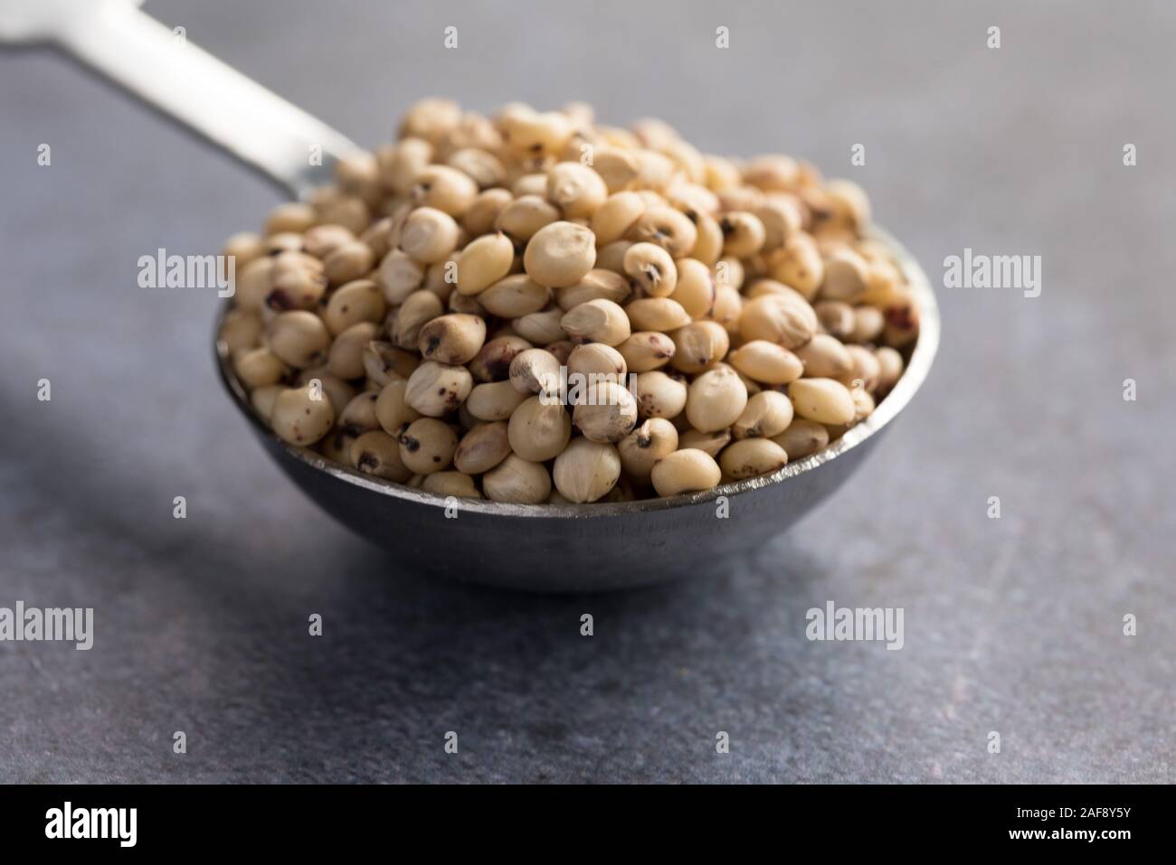Sorghum seeds hi-res stock photography and images - Alamy