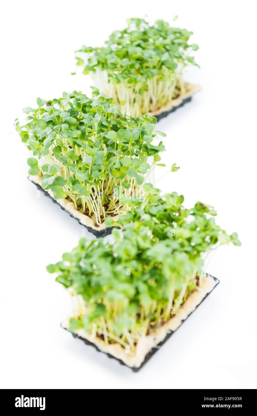 Portion of Cress (as close-up shot) isolated on white background Stock ...