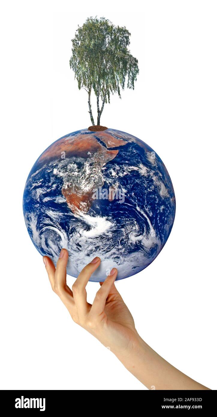 Tree on Earth as a symbol of peace.Elements of this image furnished by ...