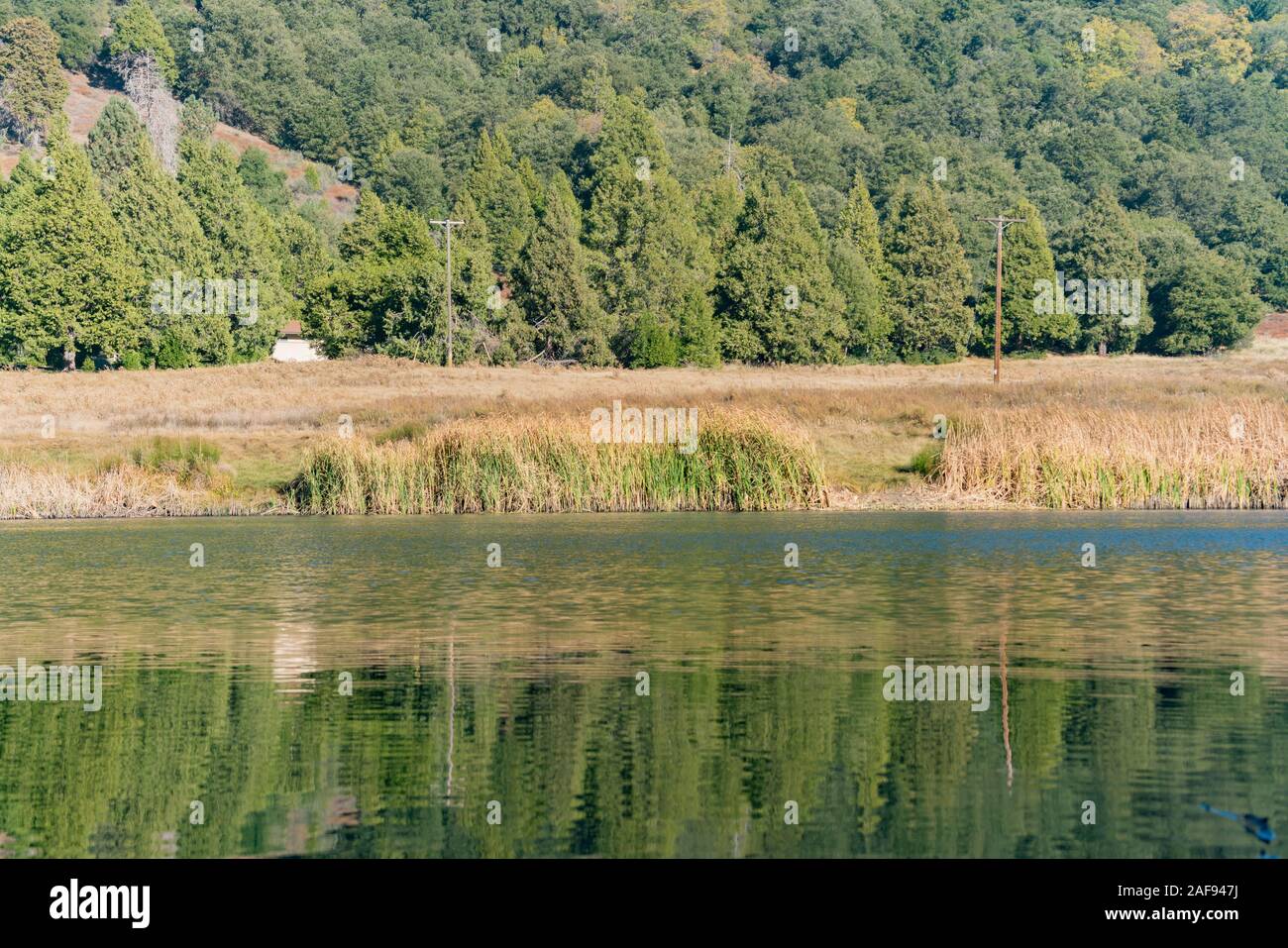 Lake landscape at Palomar Mountain, California Stock Photo - Alamy