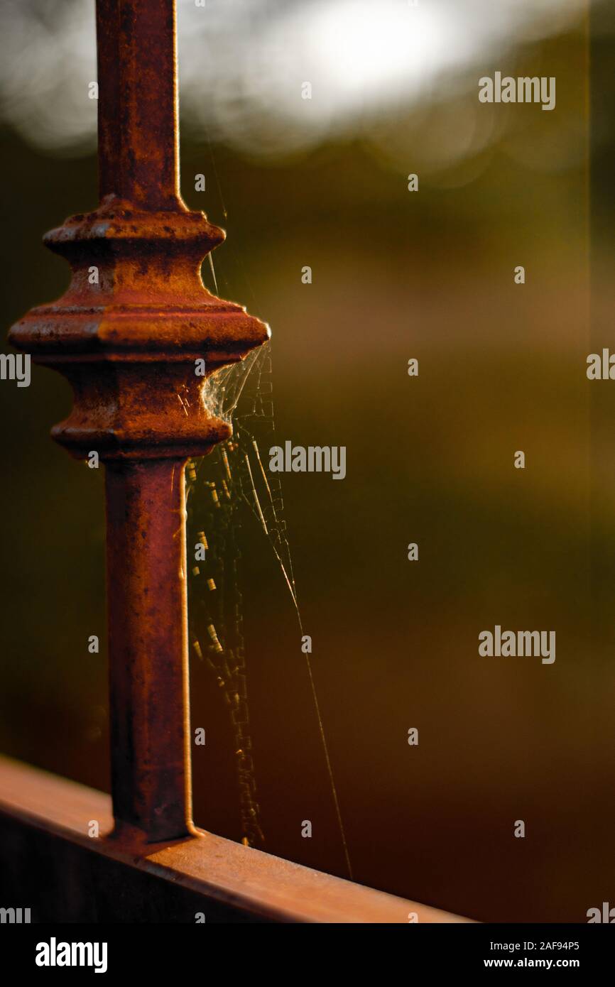 The Close Rain Spider Gate Stock Photo - Alamy