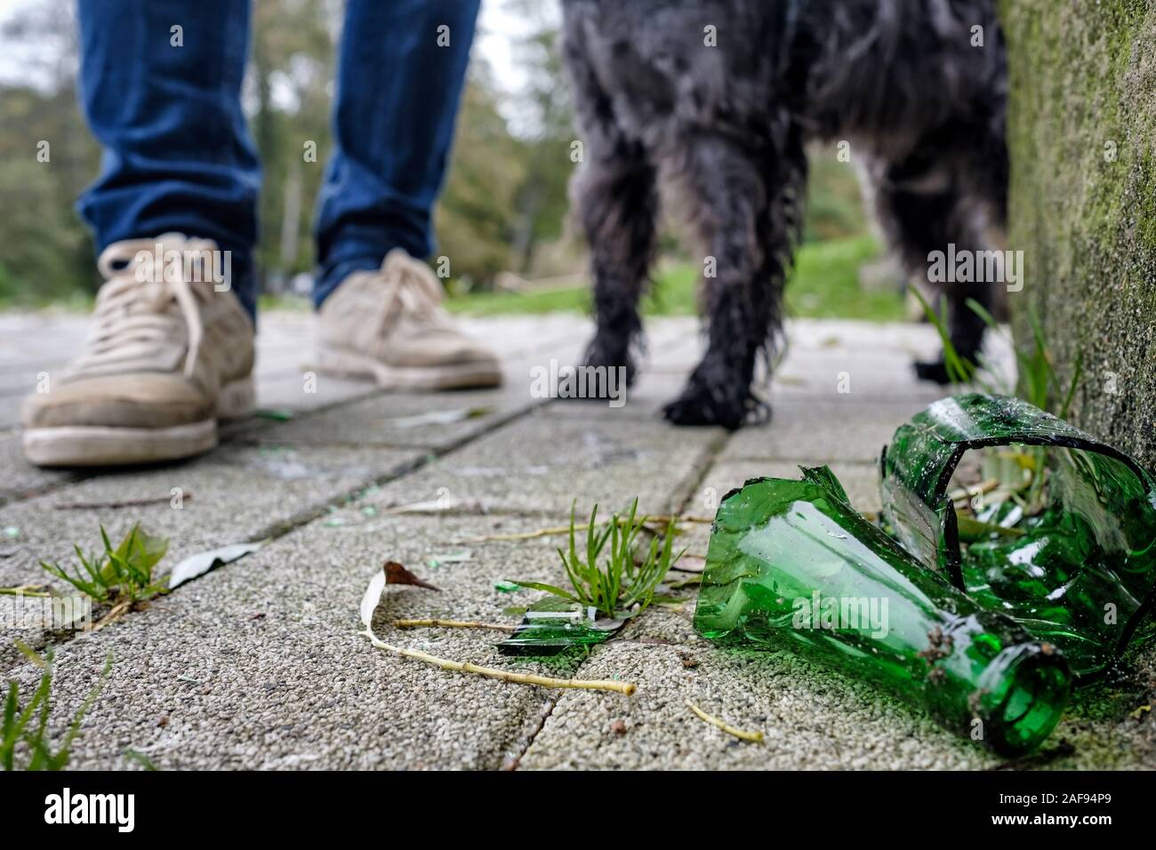 Multi colored pieces of broken glass outside. Human and dog legs ...